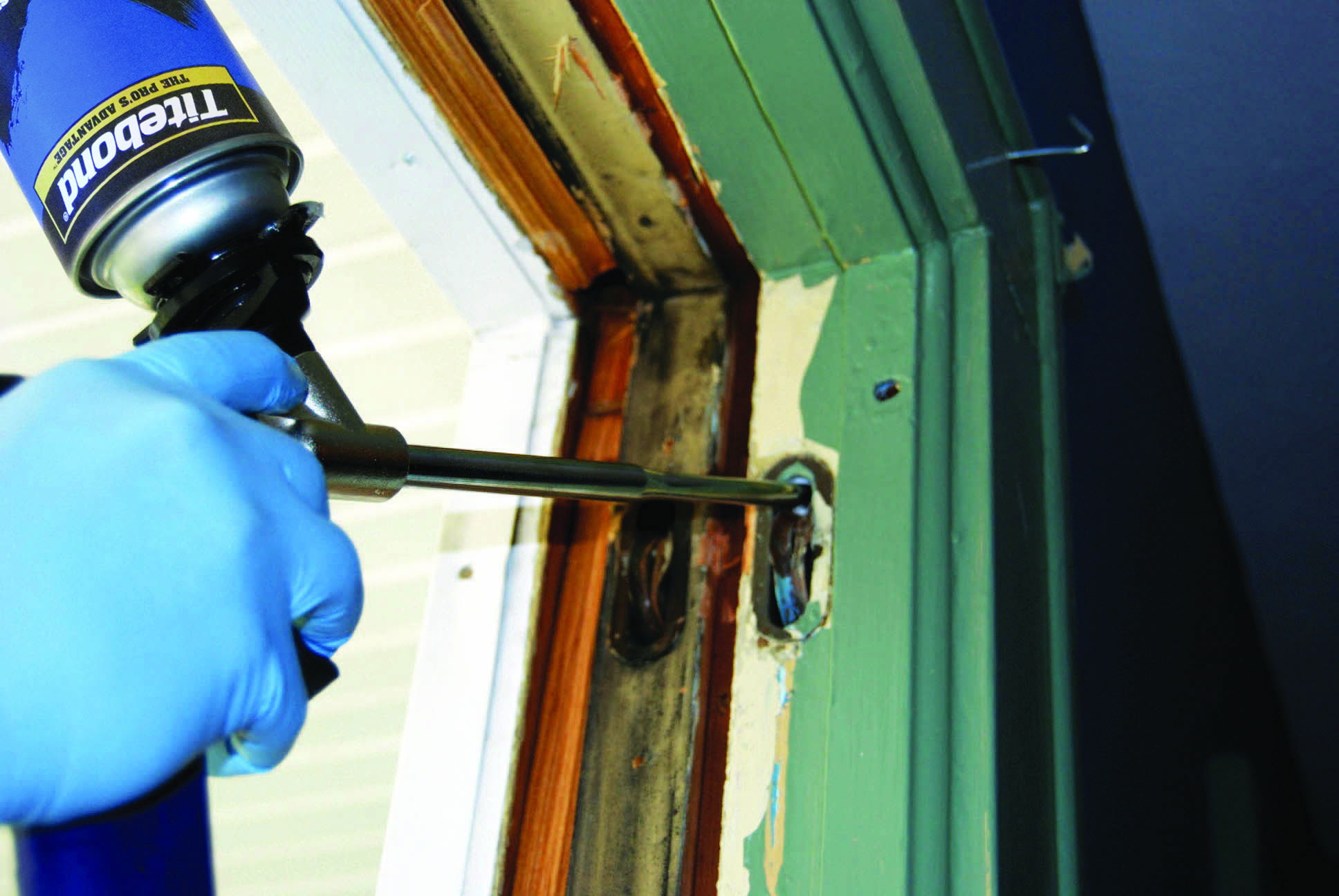 TITEBOND X-TREME DOOR & WINDOW AEROSOL FOAM GUNNABLE 24-OZ 8532 | Spray ...